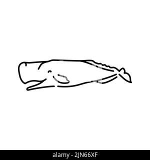 Cachalot color line illustration. Marine mammals Stock Vector Image ...
