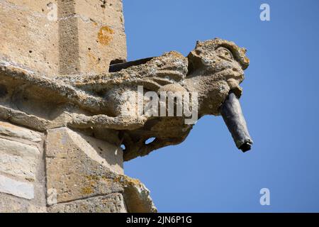 Weathered ancient gargoyle against blue sky on All Saints Church Weston ...