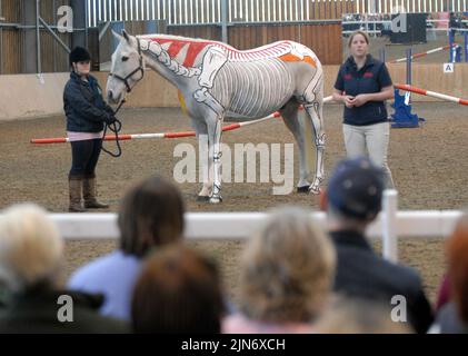 GYM GOES THROUGH HIS PACES AT SPARSHOLT COLLEGE HAMPSHIRE WHERE HORSE EXPERT GILLIAN HIGGINS ...