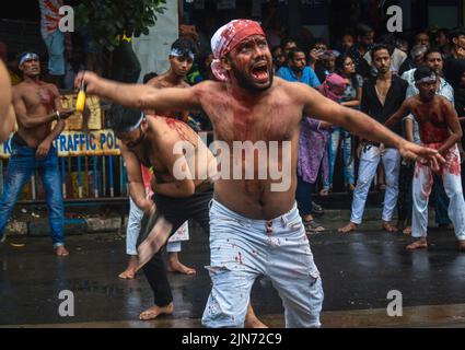Shiite Muslims flagellate themselves during a Muharram procession in ...