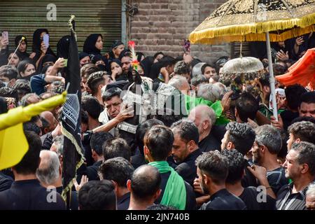 Srinagar, India. 09th Aug, 2022. Shia Muslims beat chests as they walk ...