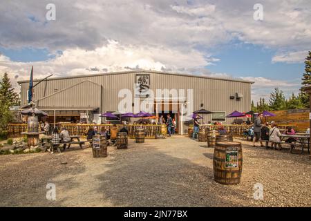 2022-06-22 Denali Alaska USA - Rustic McKinley Chalet Resort anainst ...