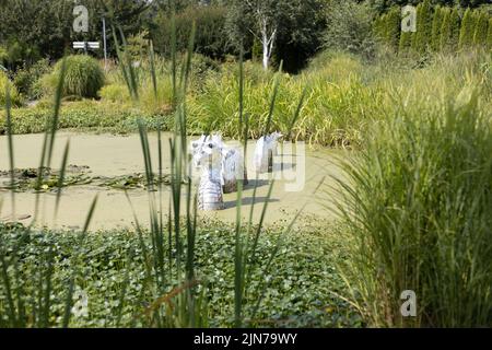 A sea serpent sculpture made of discarded soda cans, on display at the ...