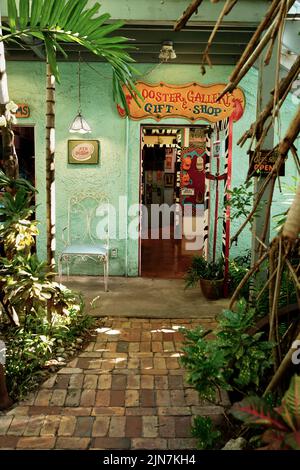 Blue Heaven Bar in Key West, FL, USA. Famous destination location. Hand ...