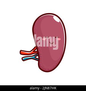 Strong healthy happy kidney smiling emotion character with red apple ...