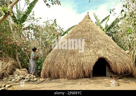 A villager and part time ecotourism guide is standing close to dwarf ...