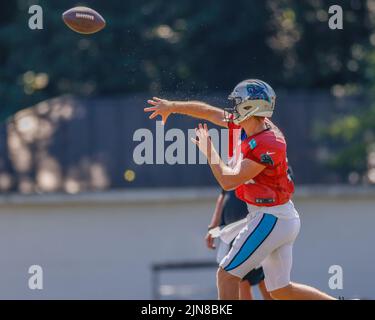 Carolina Panthers quarterback Sam Darnold (14) talks to quarterback Cam ...