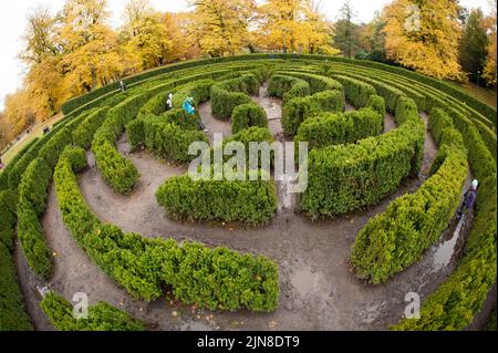 A fisheye curved angle view of a small green plant maze at a park Stock ...