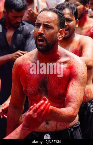 Shiite Muslims flagellate themselves during a Muharram procession in ...