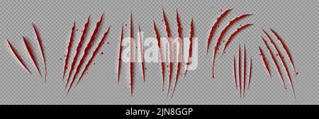 Realistic set of animal claw marks isolated on transparent background ...