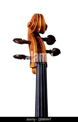 Head Professional Cello at black background Stock Photo - Alamy