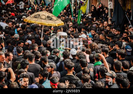 Shia Muslims gathered around a Horse [Zuljanah] which symbolise the ...