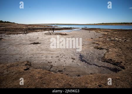 Dried mud and old trees at Colliford Lake, where water levels have ...