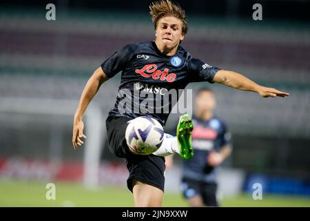 SSC Napoli’s Italian forward Alessio Zerbin gesticulate during SSC ...