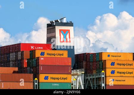 Yang ming logo Stock Photo - Alamy