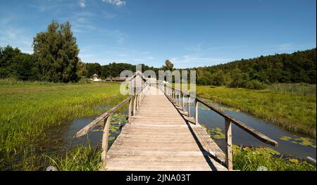 Sternberg, Germany. 10th Aug, 2022. Bettina Martin, Minister of Science ...