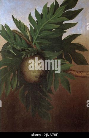 Persis Goodale Thurston Taylor - 'Hawaiian Breadfruit', oil on canvas ...