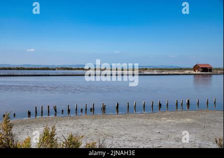 Samouco saline foundation for ambiental preservation in Alcochete ...