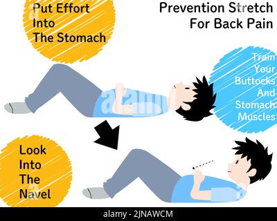 Illustrated illustration of back pain exercises Stock Vector Image ...