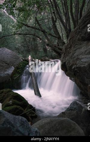 Small stream in the forest, broken trees covered in snow, winter ...