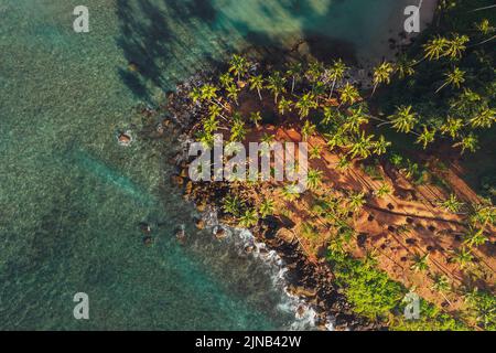 Famous Coconut Tree Hill aerial top view photo with a beautiful Nature ...