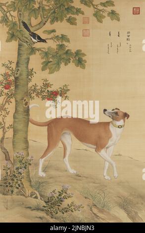 Ten Prized Dogs 08 Stock Photo - Alamy