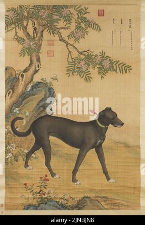 Ten Prized Dogs 10 Stock Photo - Alamy