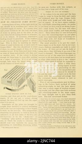 The ABC and XYZ of bee culture (Page 87 Stock Photo - Alamy