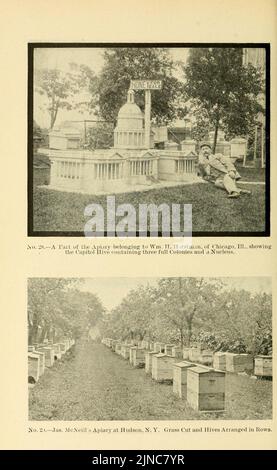 The ABC and XYZ of bee culture Stock Photo - Alamy