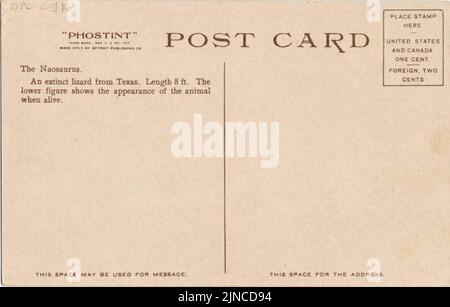The American Museum of Natural History, 2, The Naosaurus Stock Photo ...