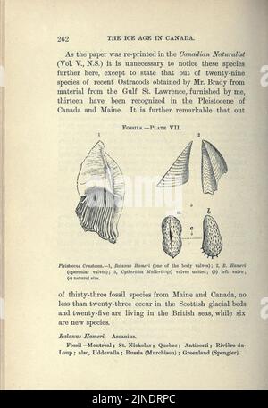 The Canadian ice age (Page 262) BHL22030629 Stock Photo - Alamy