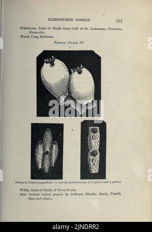 The Canadian ice age (Page 221) BHL22030588 Stock Photo - Alamy