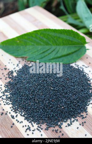 jute seed stock with leaf on shop for sell Stock Photo - Alamy