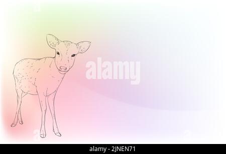 Realistic animal illustrations: iridescent background: iridescent doe ...