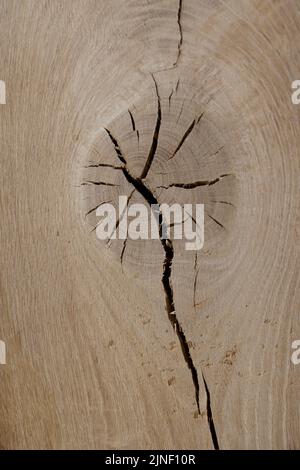 Heart shake in drying green oak timber used in construction of ecohouse ...
