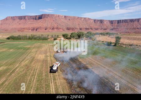 A tractor pulls a propane burner to burn weeds in an hay field after ...