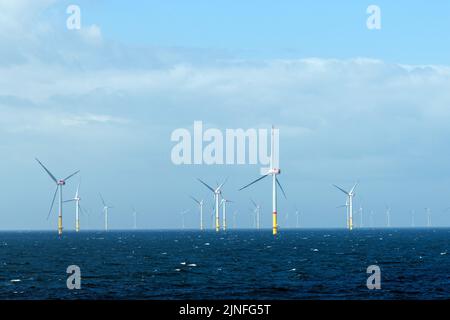 Offshore windpark-Arkona-western pomerania, germany Stock Photo - Alamy
