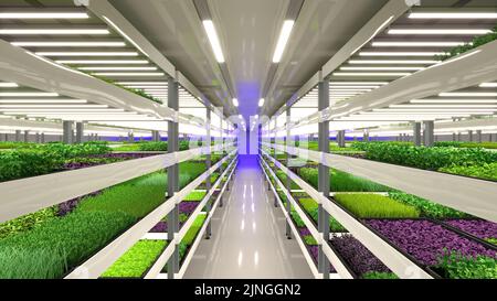 Indoor vertical farm. Hydroponic microgreens plant factory. Plants grow ...