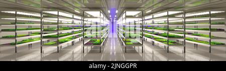 Indoor vertical farm. Hydroponic microgreens plant factory. Plants grow ...