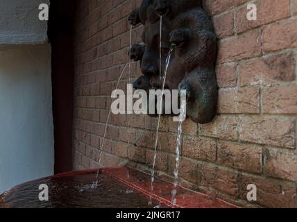 The head of Medusa Gorgon in the form of a bas-relief of the fountain ...