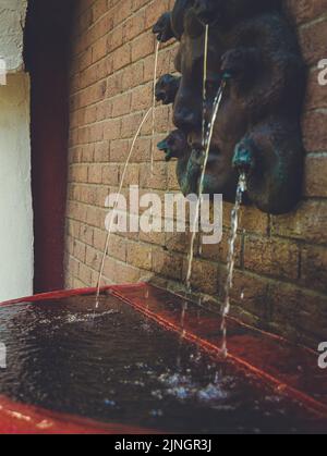 The head of Medusa Gorgon in the form of a bas-relief of the fountain ...