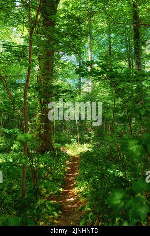 Theres no beauty like the beauty of nature. Springtime images of garden ...