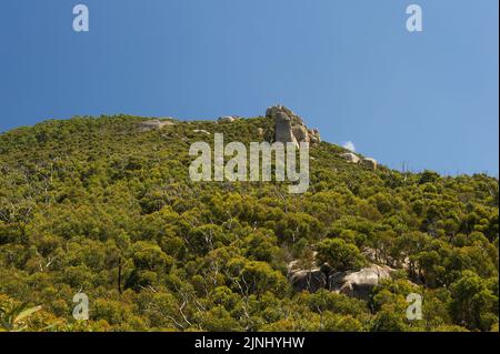 Mount Oberon is 558 metres high, at the Southern tip of Wilsons ...
