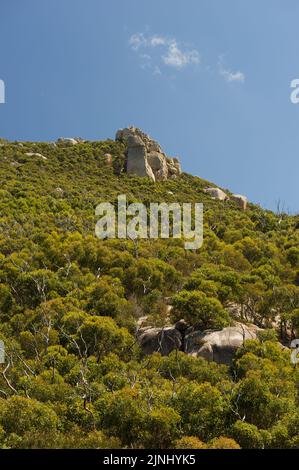 Mount Oberon is 558 metres high, at the Southern tip of Wilsons ...