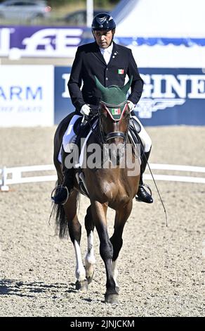 Herning, Denmark. 11th Aug, 2022. World Equestrian Games. Stutteri Ask ...