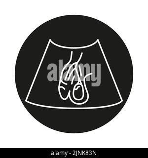 Ultrasound male reproductive system color line illustration Stock ...