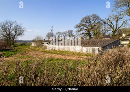 old derelict and unused Devon pig farm with muddy fields, leafless ...
