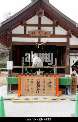 A traditional building at Kamigamo Jinja Shrine Stock Photo - Alamy