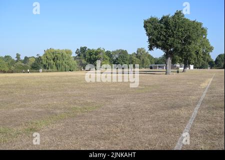A scorched playing field during the drought of August 2022 in Horley ...