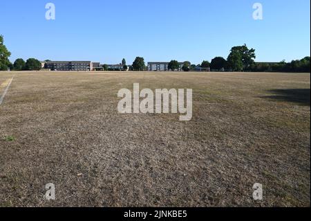 A scorched playing field during the drought of August 2022 in Horley ...